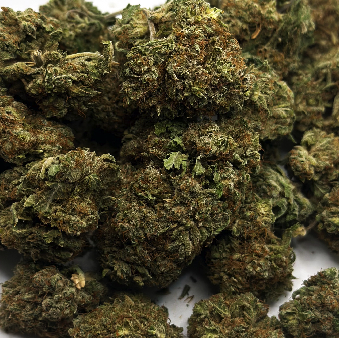 Hybrid Archives - Mamba Budds Toronto